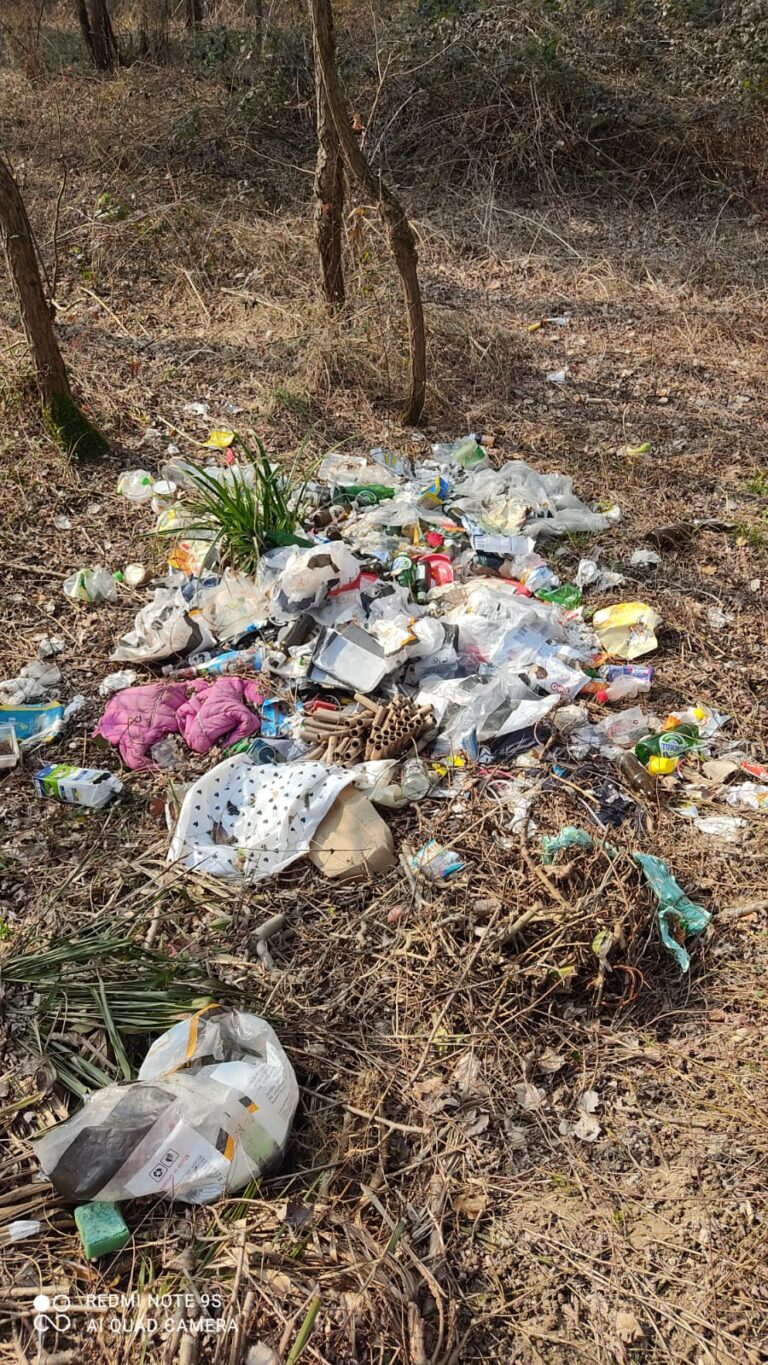 Vigonovo. Rifiuti abbandonati, il Comune non ci sta: stretta con multe ...