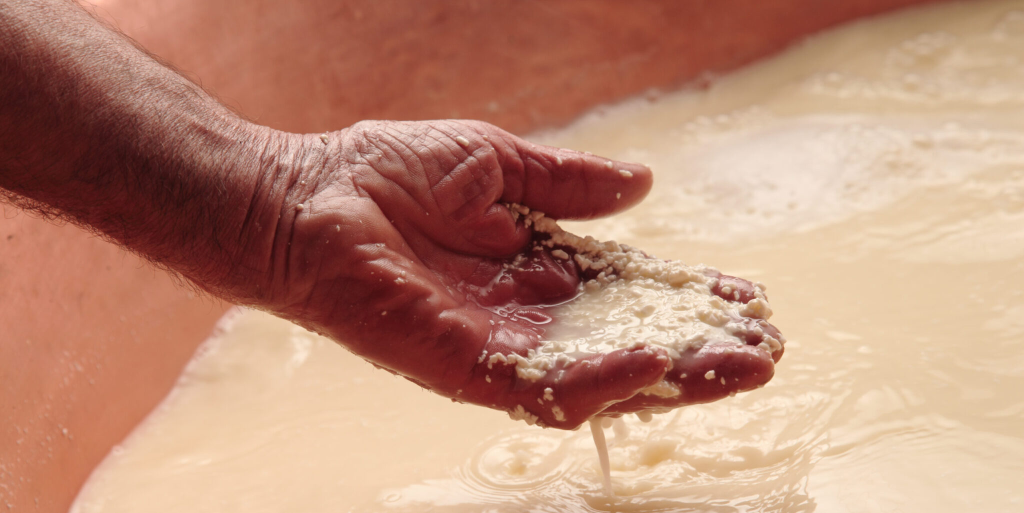 Progetti certificati. Grana Padano, Asiago e Montasio... e Provolone ...